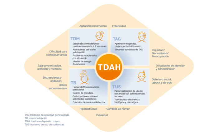 Adultos - Personas con TDAH