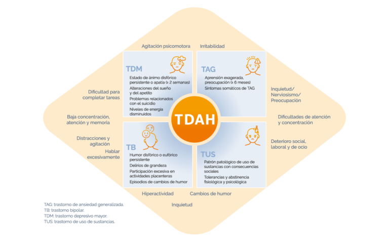 Adultos - Personas con TDAH